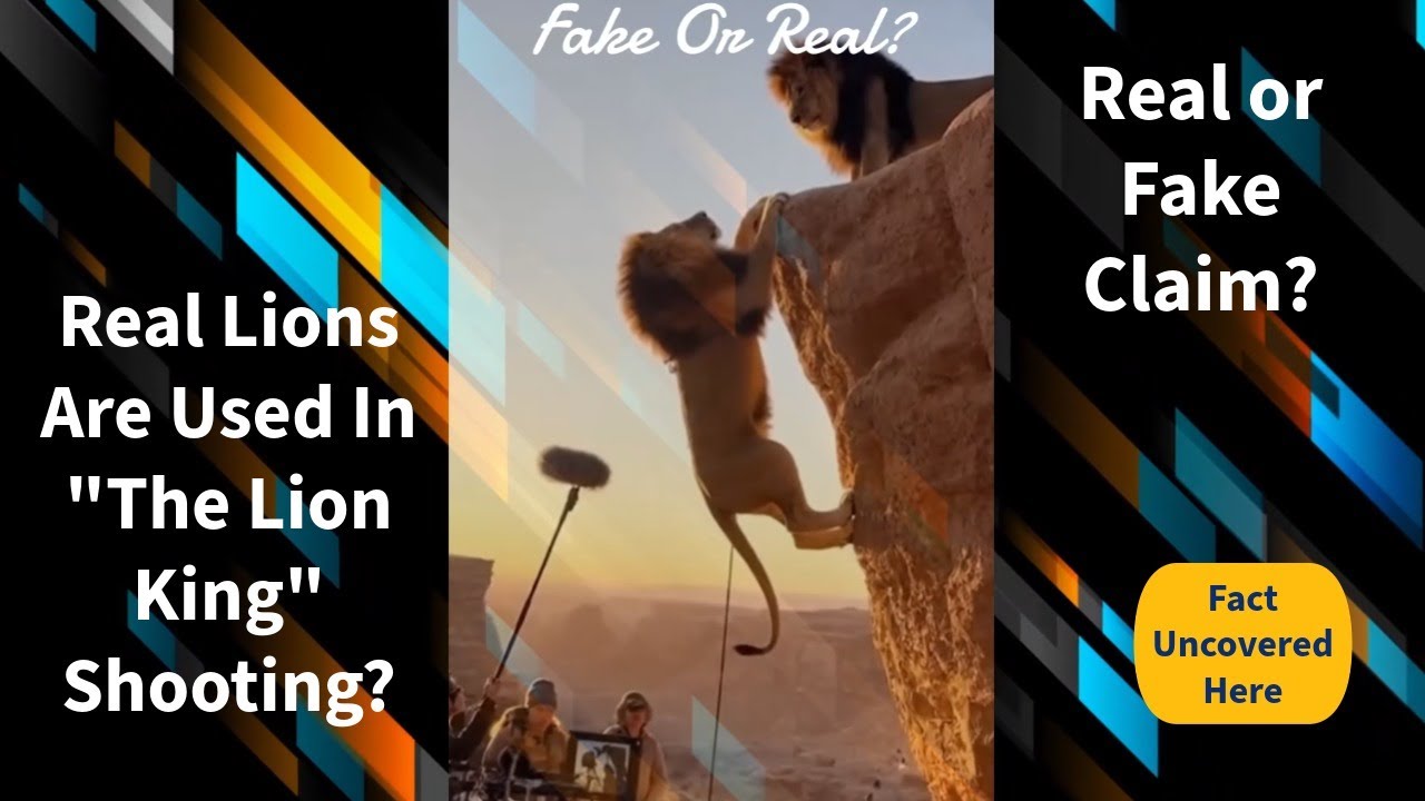 Real Lions Are Used In "The Lion King" Movie: Real or Fake Claim? - YouTube