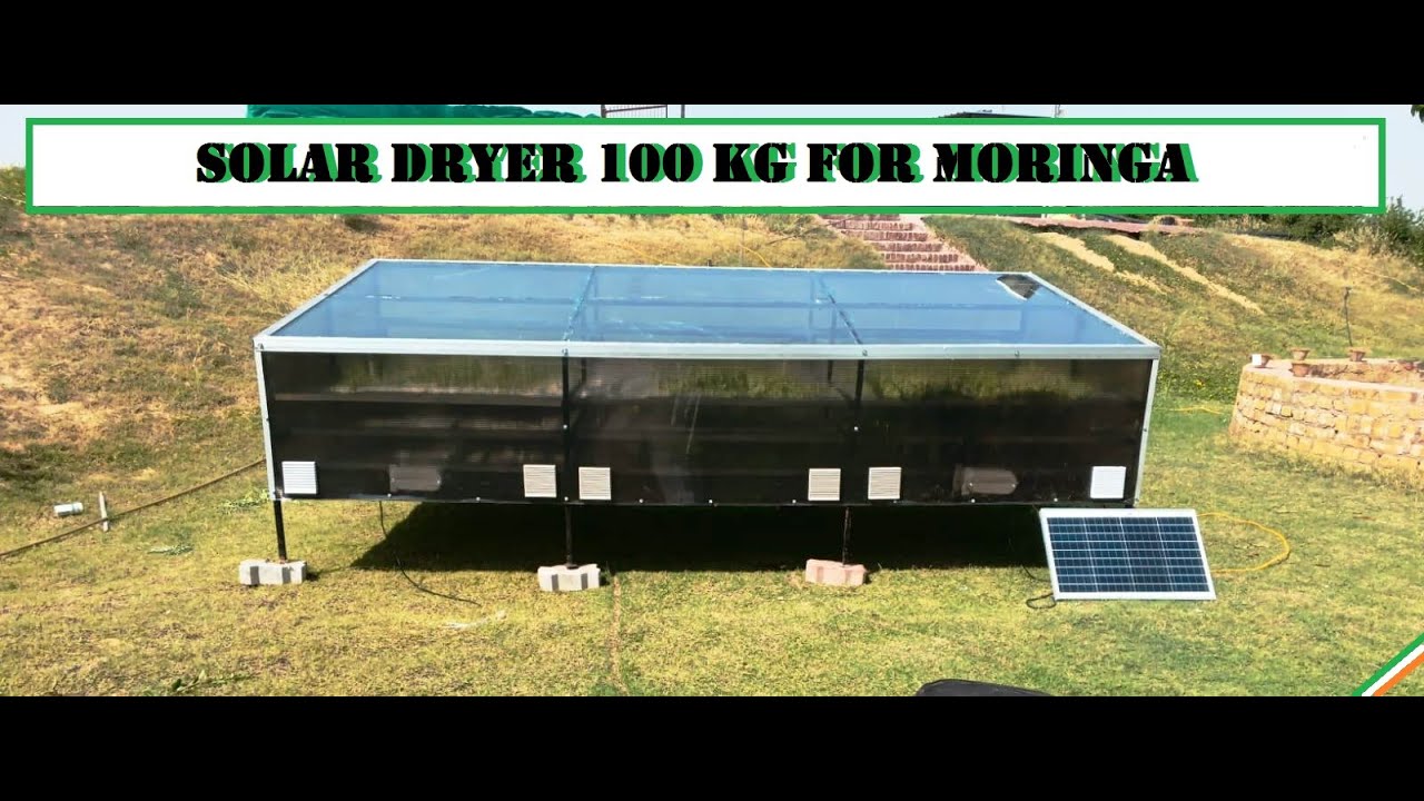 Solar Moringa Leaves Dryer I Solar Dryer I Solar Leaf Dryer - YouTube