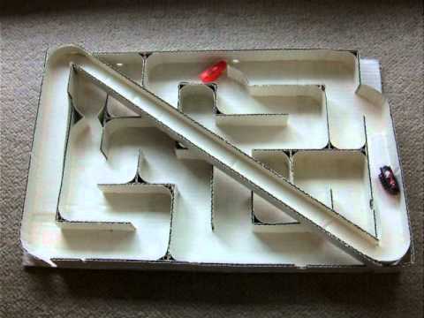HEXBUG nano in the labyrinth Final version - YouTube