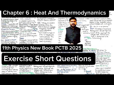 Exercise Short Questions | Chapter 6 Heat And Thermodynamics | Class 11 ...