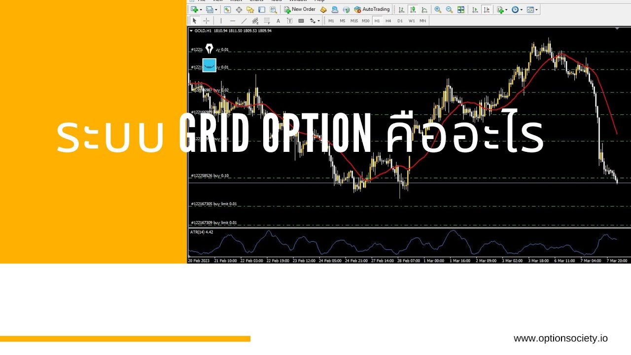 รู้จักระบบ Grid Option ระบบเทรดที่เรียบง่ายแต่ทรงพลัง - YouTube
