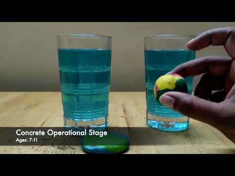 Psychology experiment - Piaget Conservation Theory - YouTube