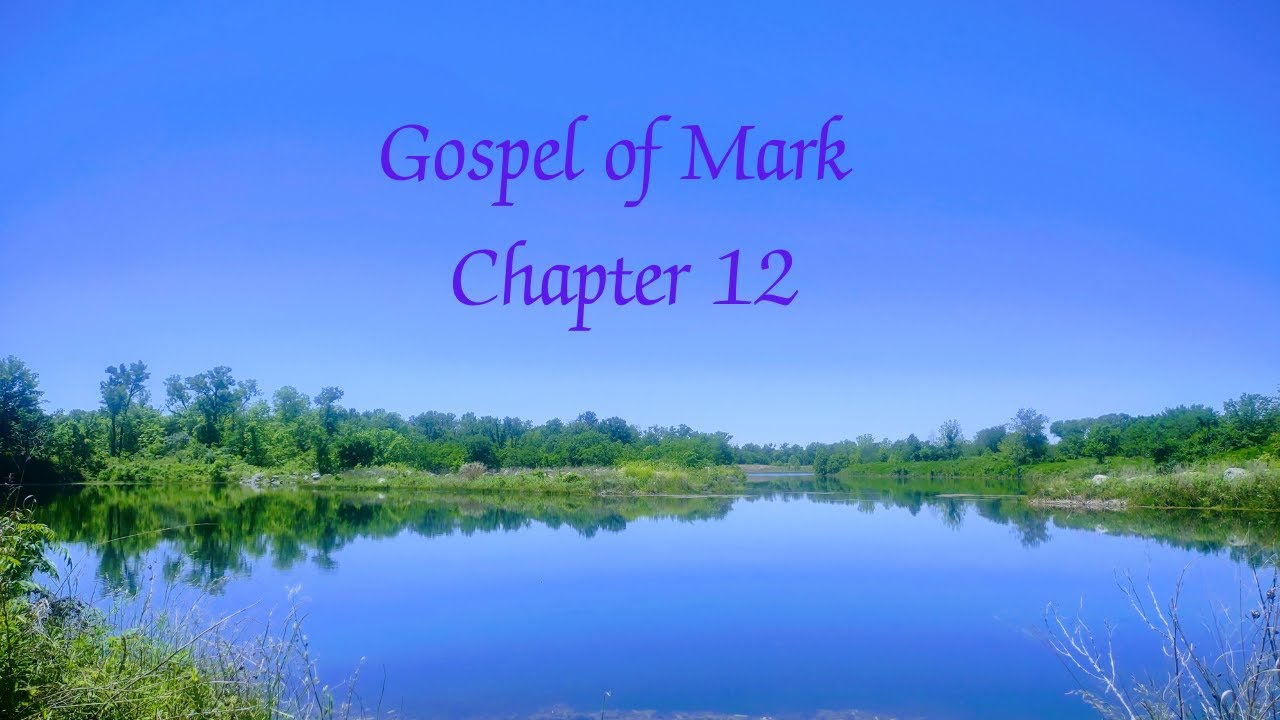 The Gospel of Mark 12 KJV #trust #scripturereading #dailyword #love # ...