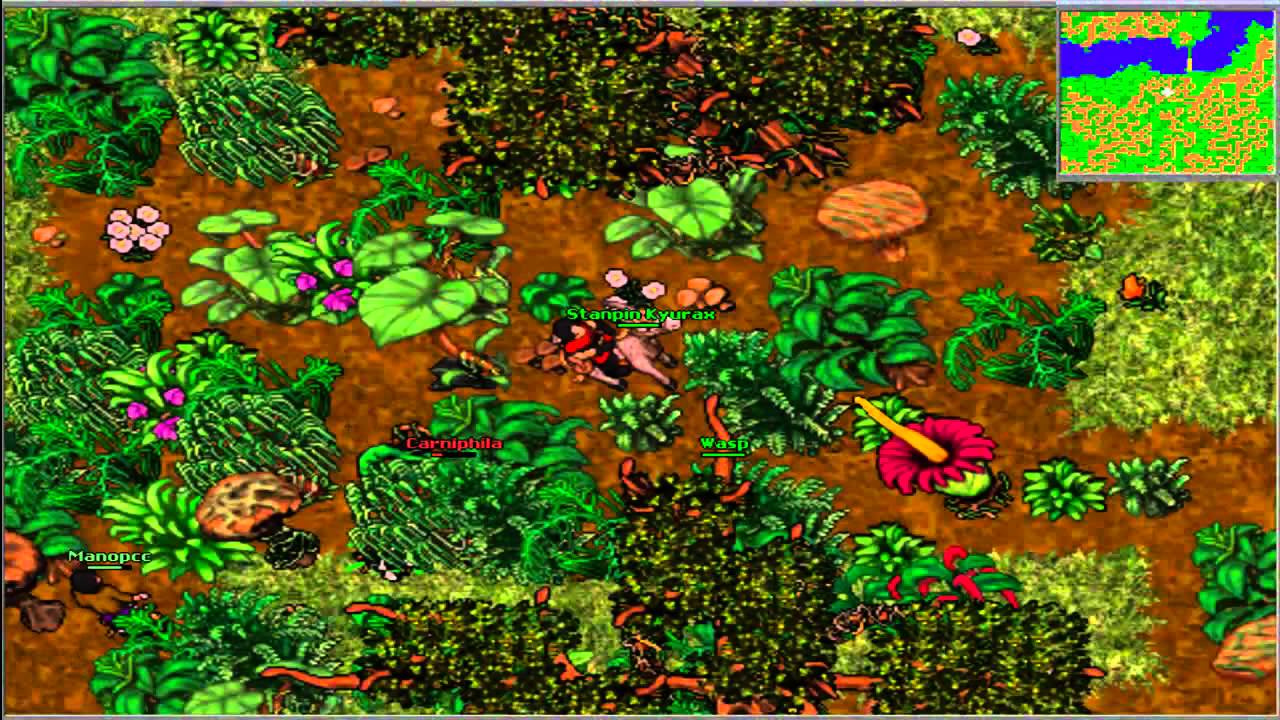 Tibia Hide - YouTube