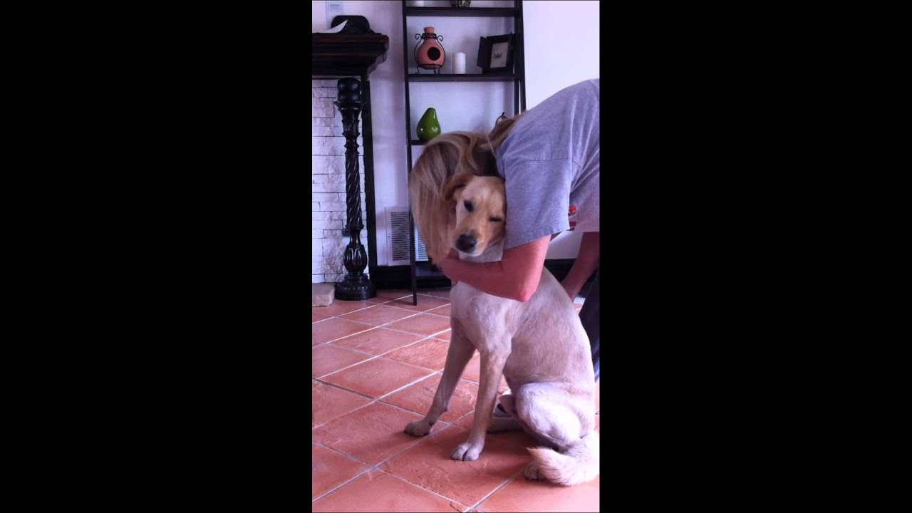 How to burp a megaesophagus dog. - YouTube