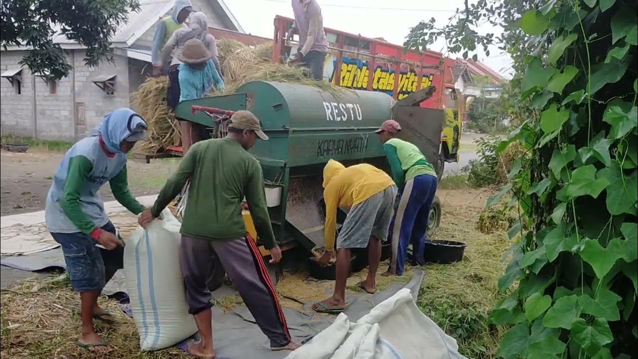 MOBIL SELEP PADI KELILING [] Blower Padi Keliling - YouTube