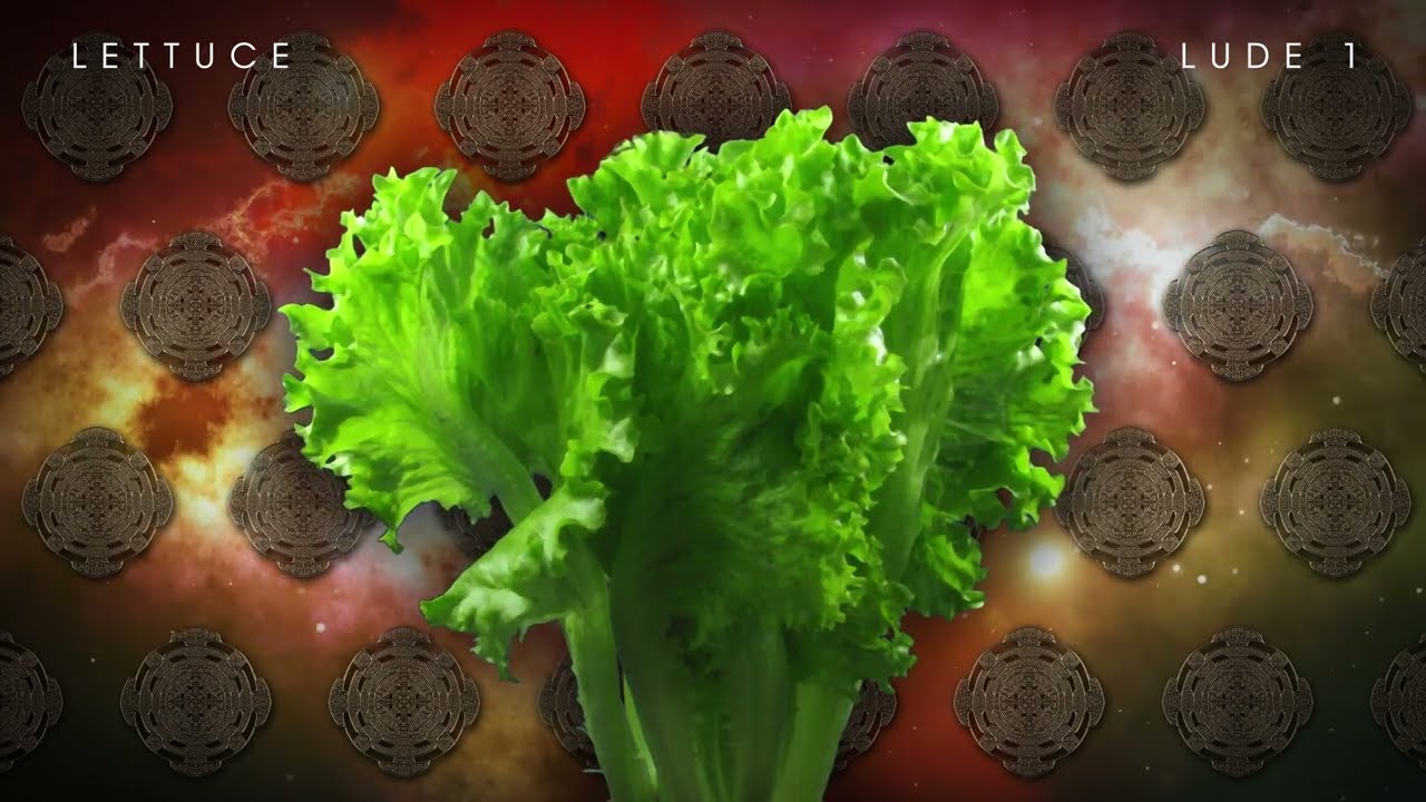 🥬 Lettuce - 'Lude 1 (Official Visual) - YouTube