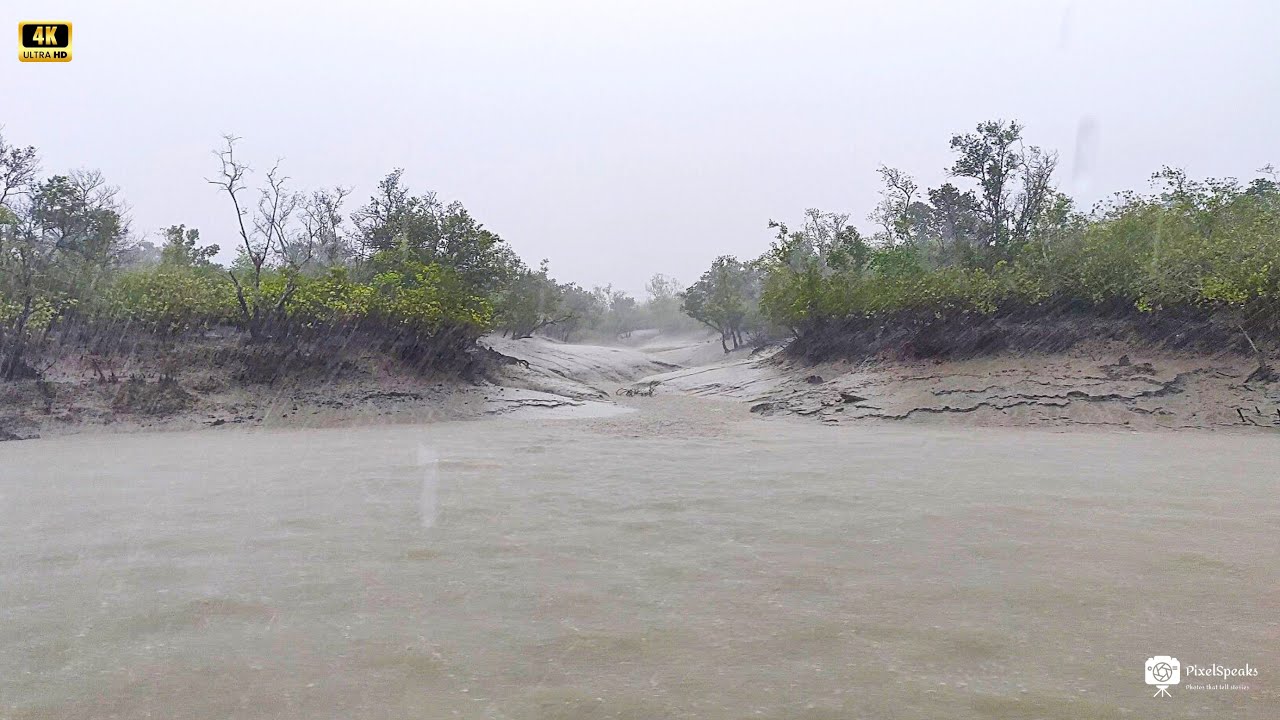 Sundarbans Monsoon Rain | Deep Forest, Mangroves & River in Heavy ...