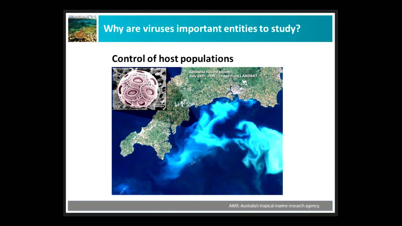 Madeleine van Oppen - Microbes in one of the world's most diverse ...