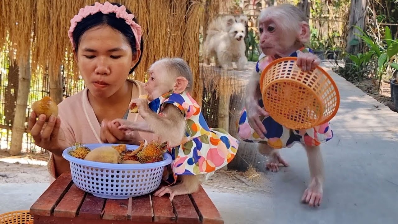 Ken Extremely Clever to Bring Mom a Stuff to Set Food Ready - YouTube