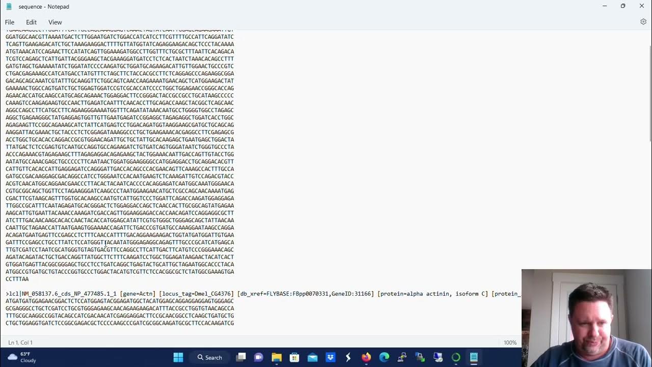What Is A Fasta File Youtube