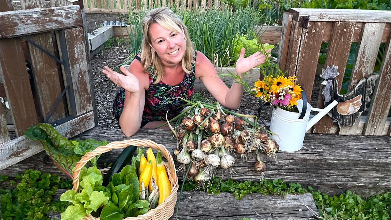Harvesting in July! Zucchini, onions, green beans and more! A peak at ...