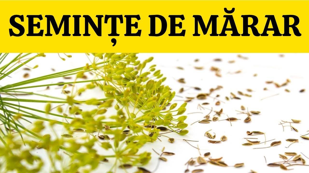 DACĂ CONSUMI SEMINȚE DE MĂRAR, IATĂ CE SE VA ÎNTÂMPLA CU ORGANISMUL TĂU ...