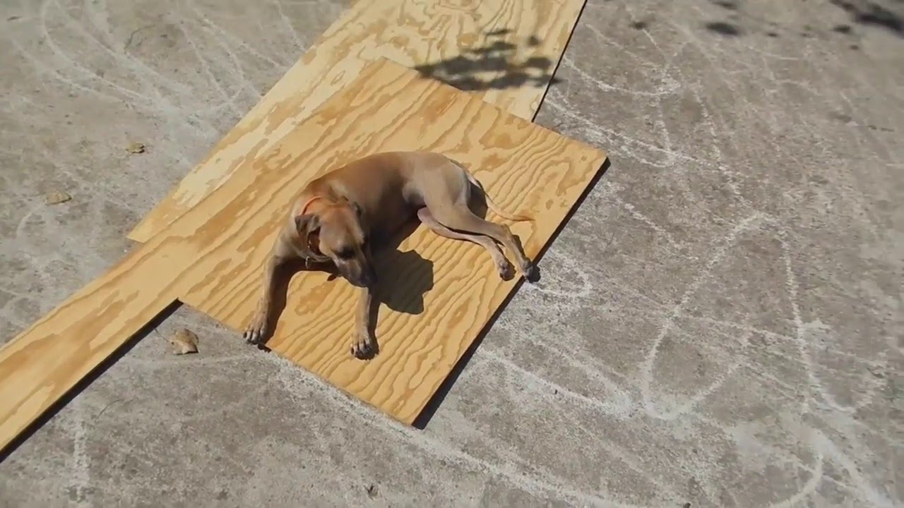 The English Poling Punt - Part 3 - YouTube