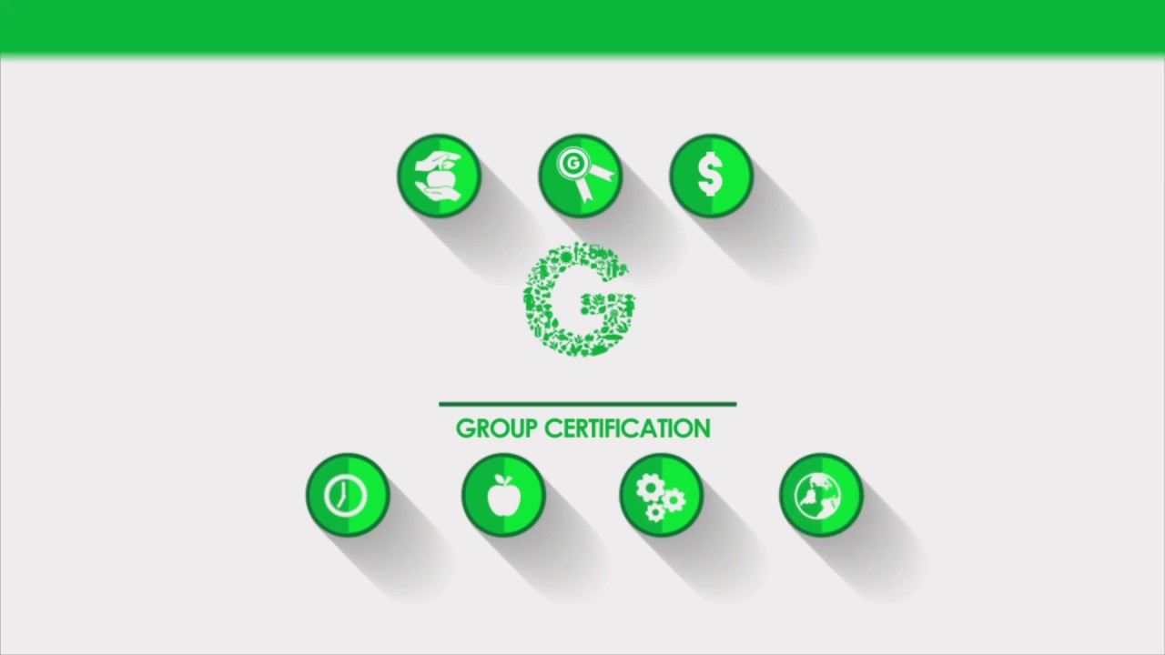 GLOBALG.A.P. Group Certification Option 2 - YouTube
