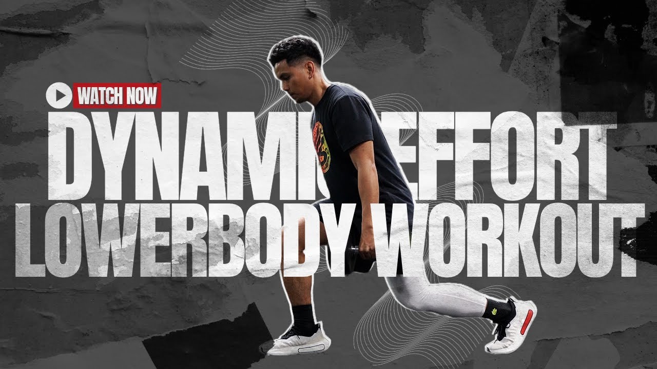 Dynamic Lower Body Workout for Explosive Power | Best Training for ...