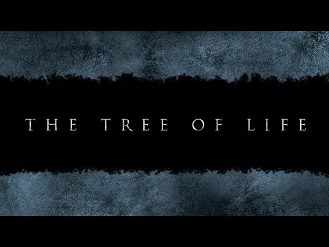 DARK OATH - The Tree of Life (OFFICIAL TRACK) - YouTube