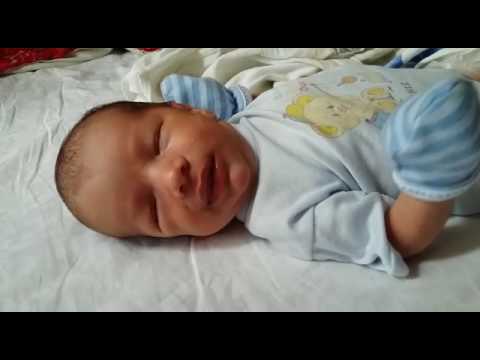 Ter terli Subhan bala