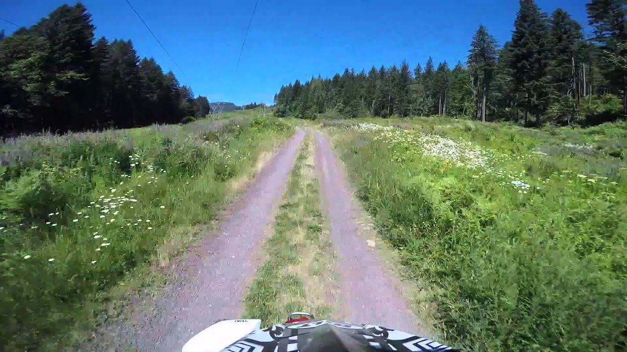 Raptor 660 Speed Run Through the Woods - YouTube