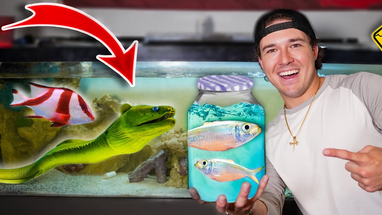 Buying New FISH For SEA MONSTER Aquarium! (Saltwater) - YouTube