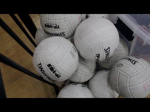 Dominguez High School Girls' Volleyball Team