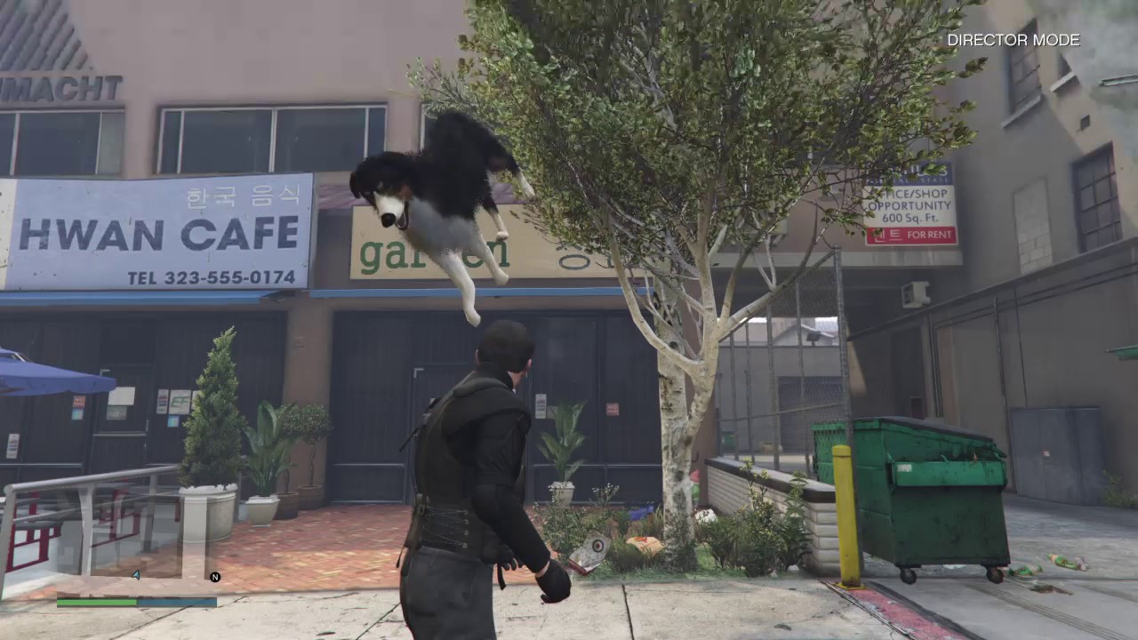 The Best Dog Backflip. - YouTube