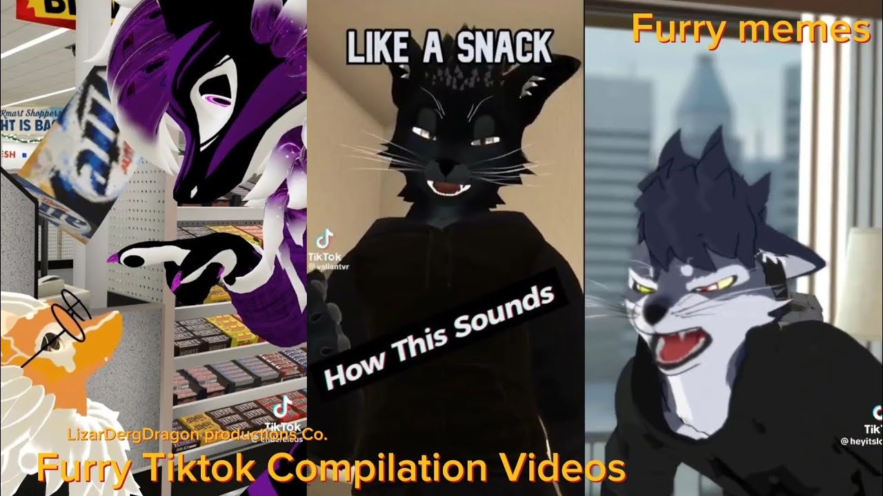 Be Like a Snack | Furry Tiktok Compilation Videos # 9 - YouTube