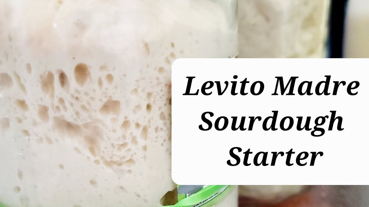 How to Feed Levito Madre Sourdough Starter. How to Activate Levito ...