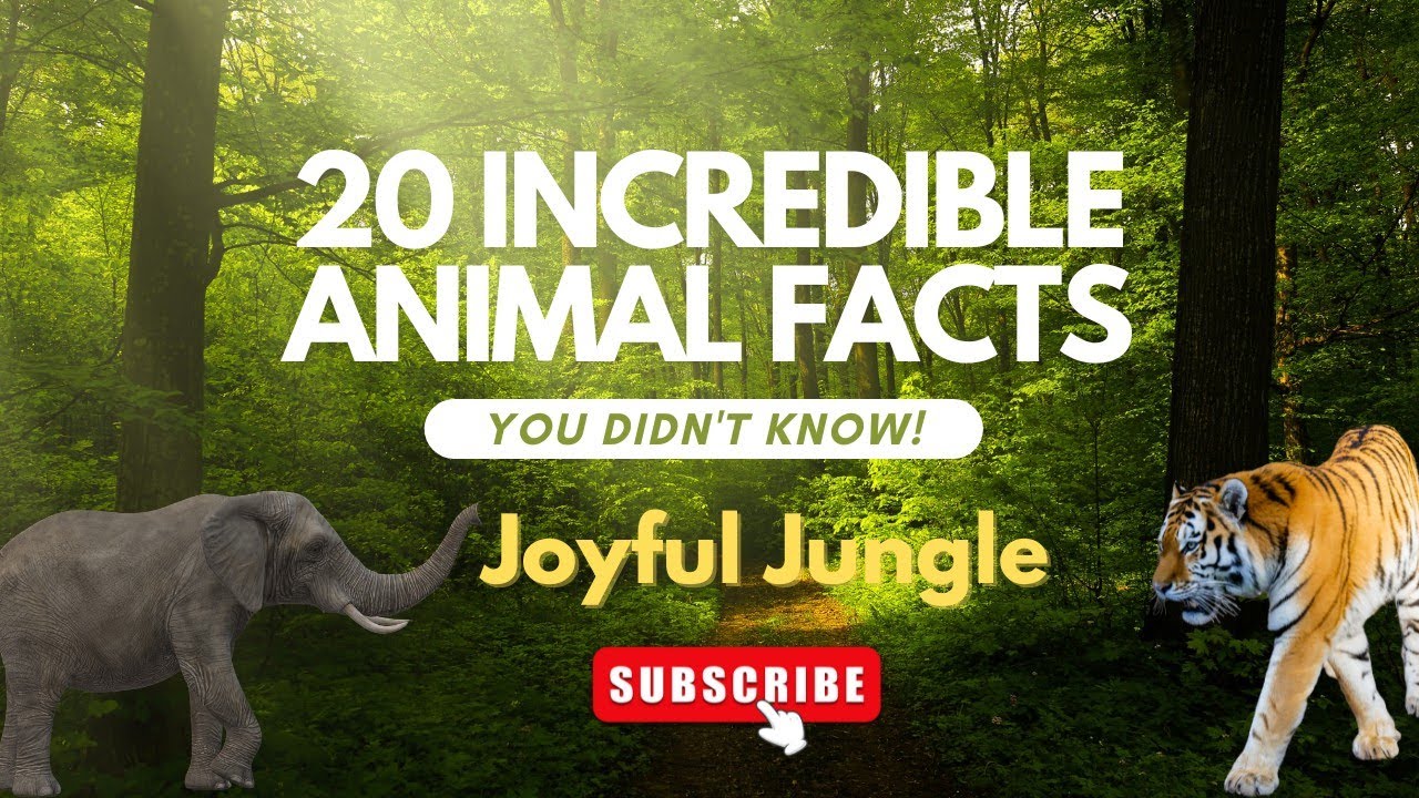 20 INCREDIBLE ANIMAL FACTS | #animals #facts - YouTube