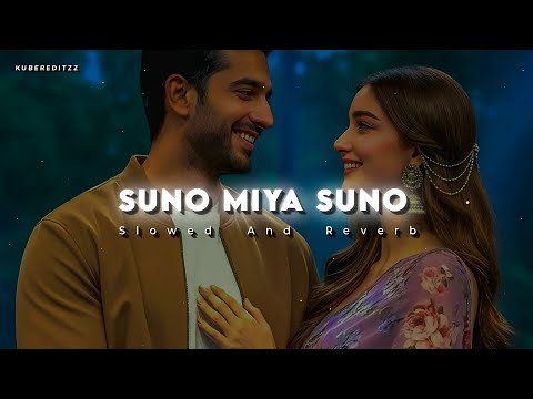 Suno Miya Suno ( Slowed And Reverb ) Udit Narayan, Sadhana Sargam #lofi  