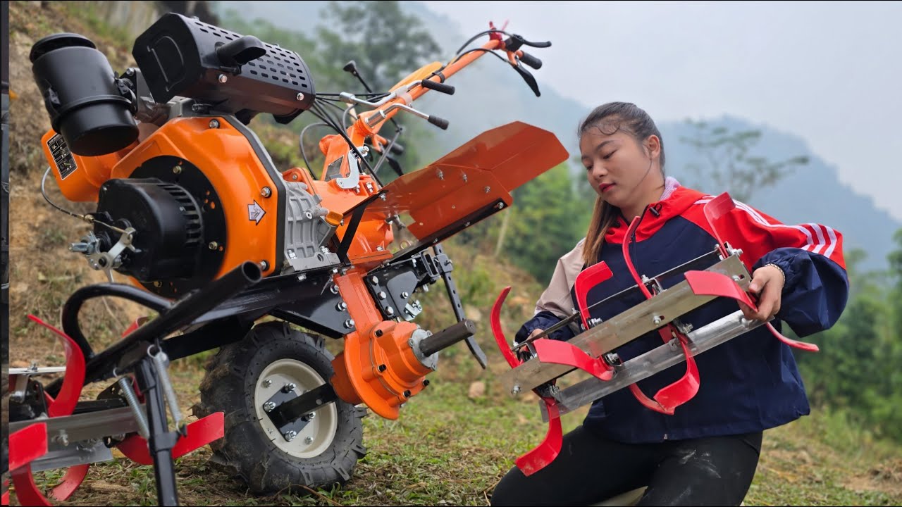 Vietnamese girl plows the garden and takes care of livestock - ha thi ...