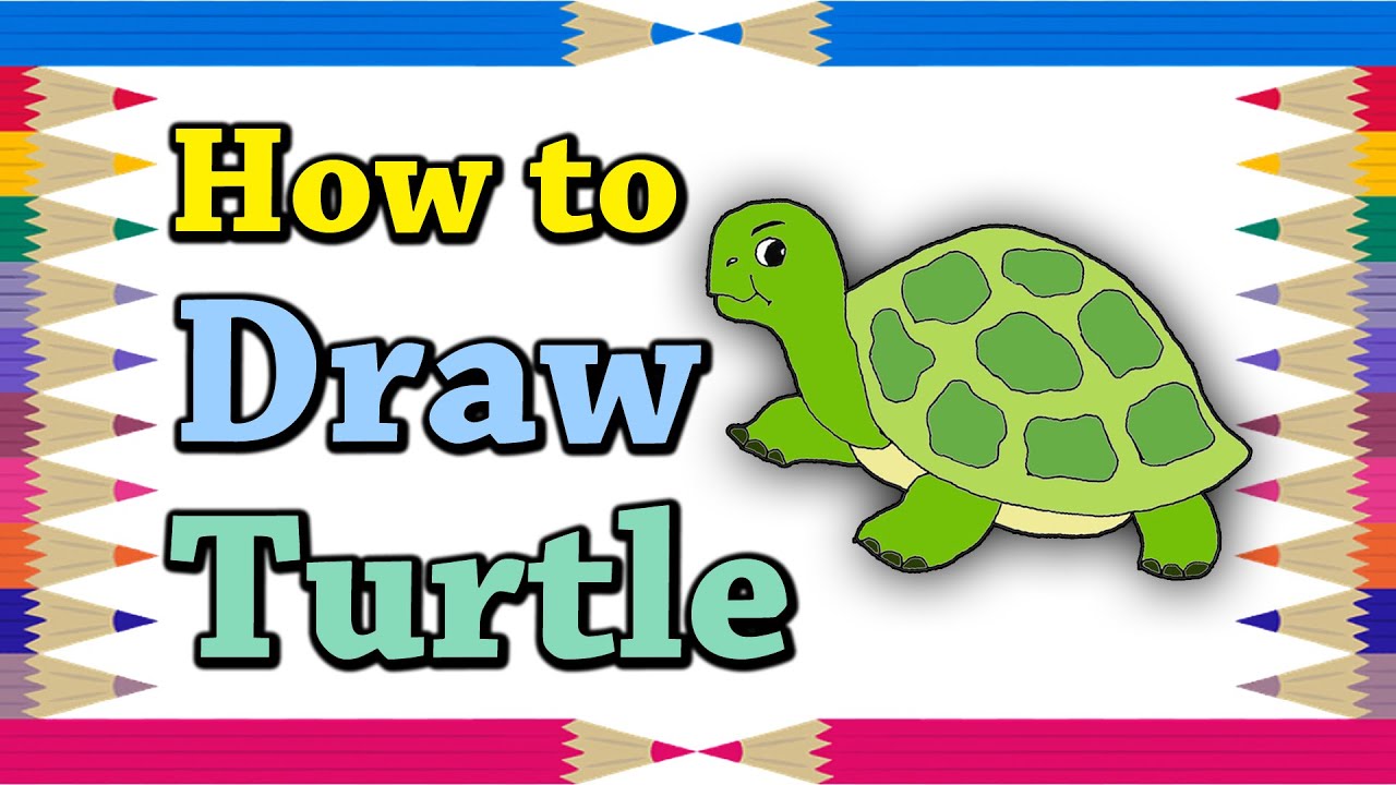 How to Draw Turtle for Kids | How to Draw a Tortoise Step by Step ...
