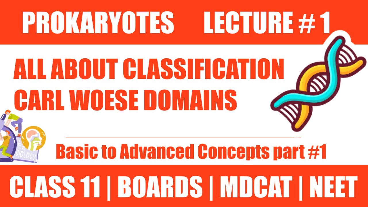 COMPLETE CLASSIFICATION IN 10 MINUTES| LECTURE 3 | CHAP: PROKARYOTES ...