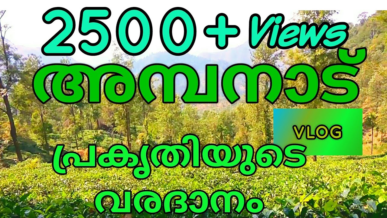 Ambanad hills|British tea estate| kerala|Trip Life By Libin - YouTube