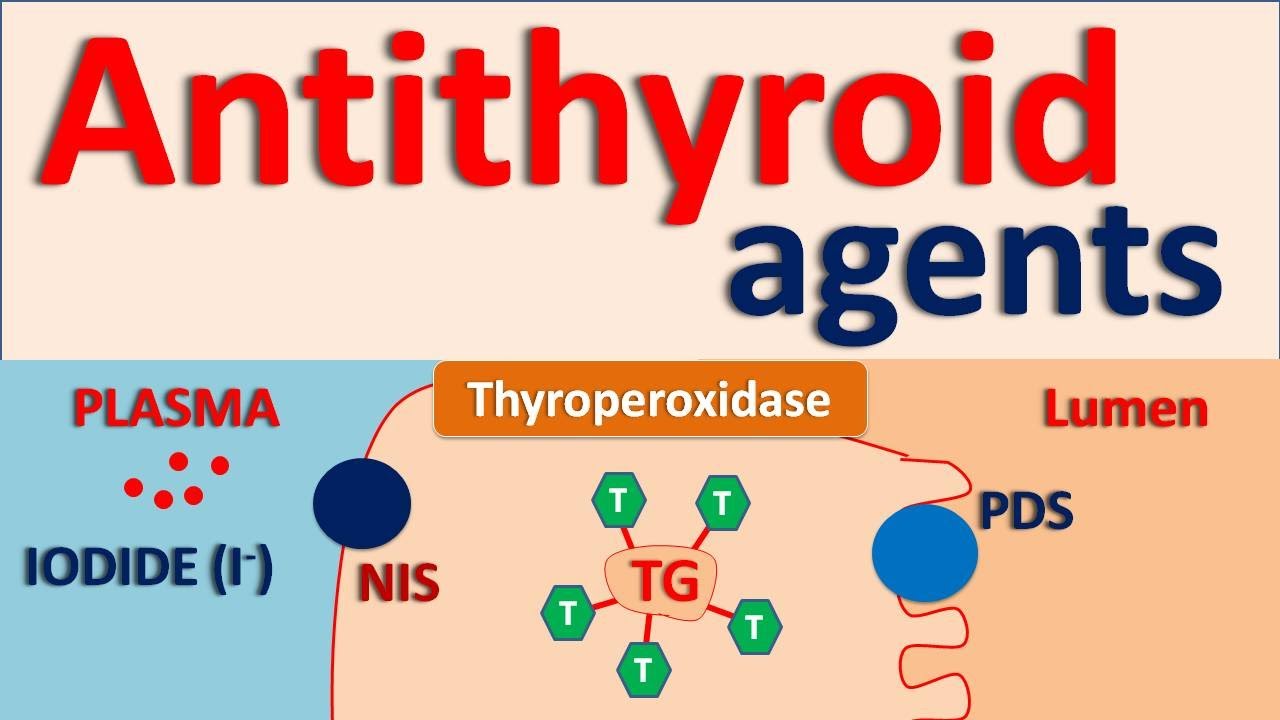 Antithyroid agents - YouTube
