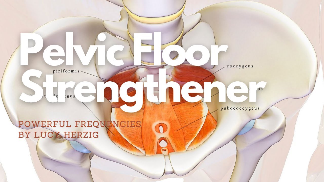 Pelvic Floor Muscle Strengthener! ~ Unisex Version | Rife Frequencies ...