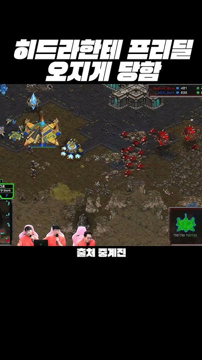 히드라한테 프리딜 오지게 당함 스타크래프트 히드라 넥서스 스타플레이 Youtube