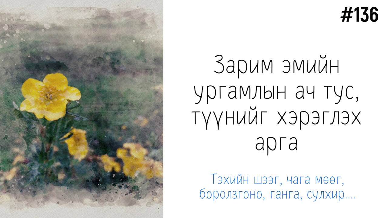 ЗӨВ ҮҮ ТАВ УУ 136 Зарим эмийн ургамлын ач тус түүнийг хэрэглэх арга