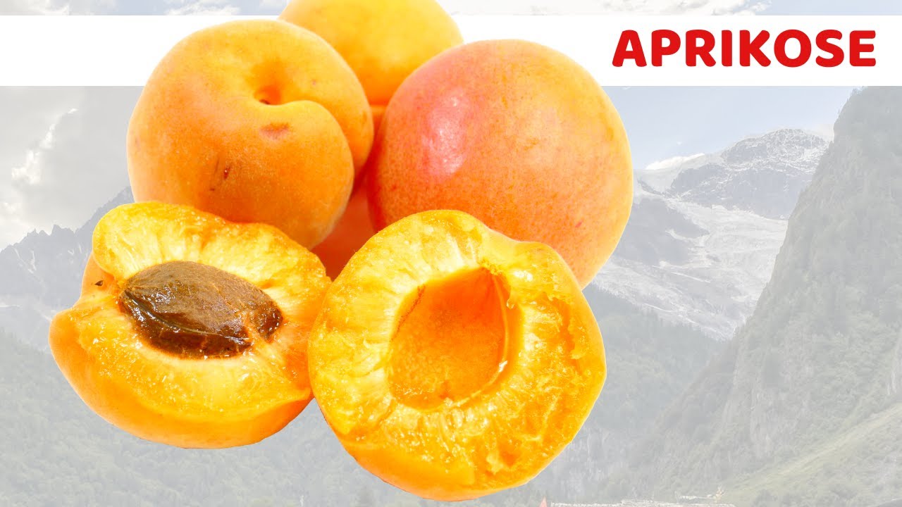 Das Essen von 4 Aprikosen pro Tag tut dies Ihrem Körper | Was sind die Vorteile von Aprikose ...