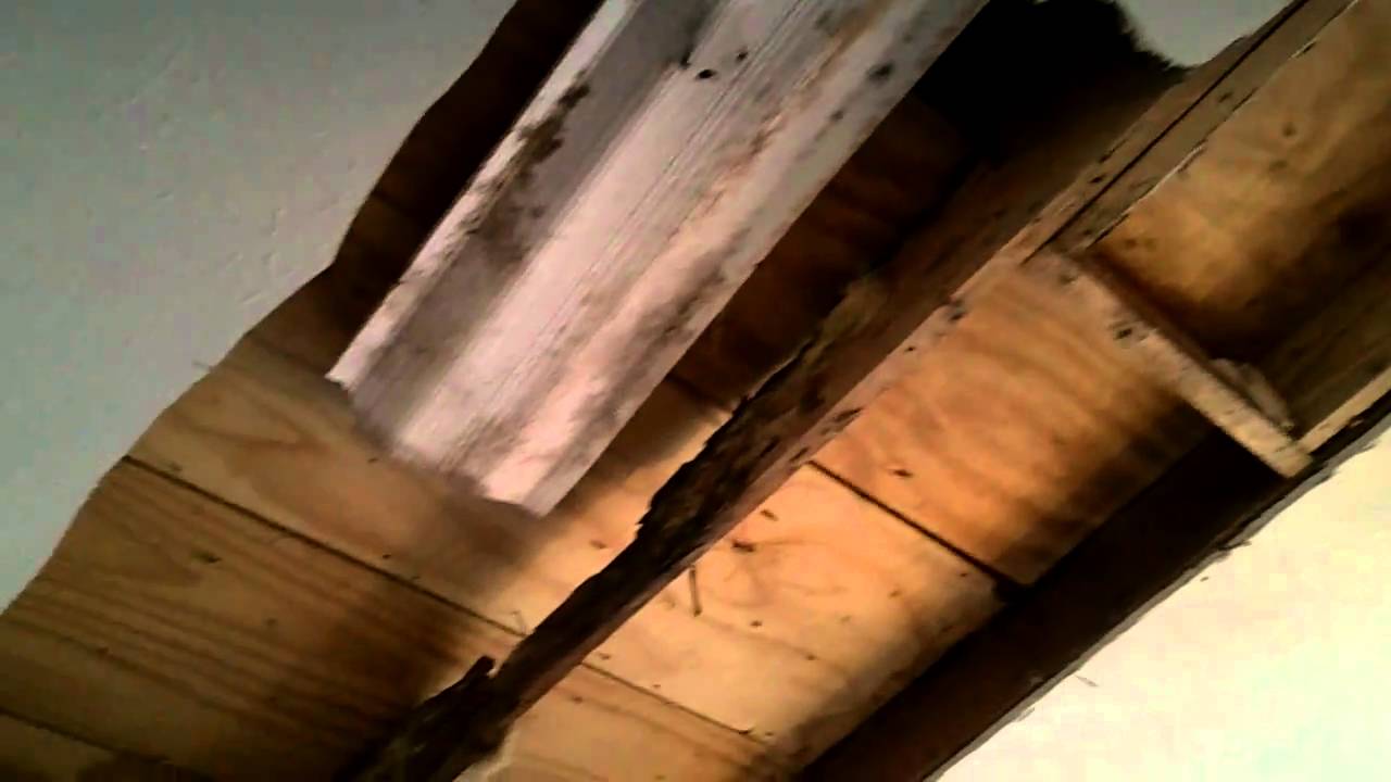 Rafter Damage From Leaky Skylites - YouTube