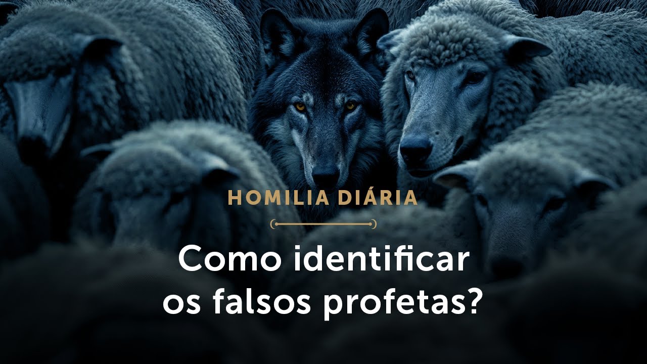 Homilia Diária | O critério para identificar os falsos profetas (Quarta ...