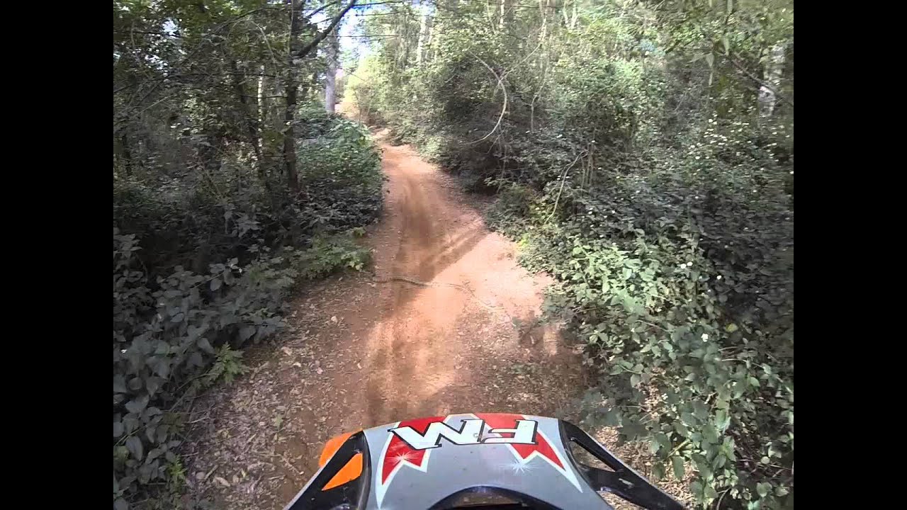 Gopro Snake - YouTube