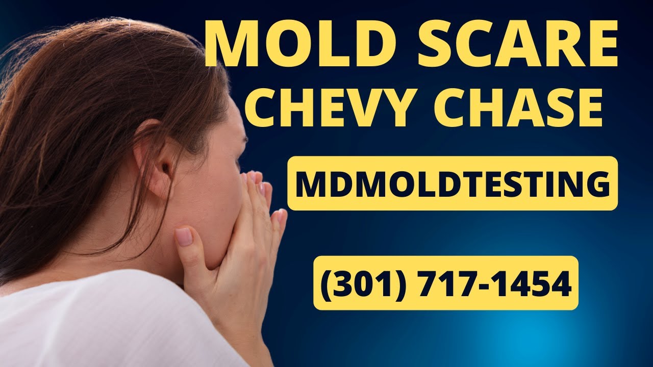 Ultimate Guide to Mold Testing in Chevy Chase, Maryland - YouTube