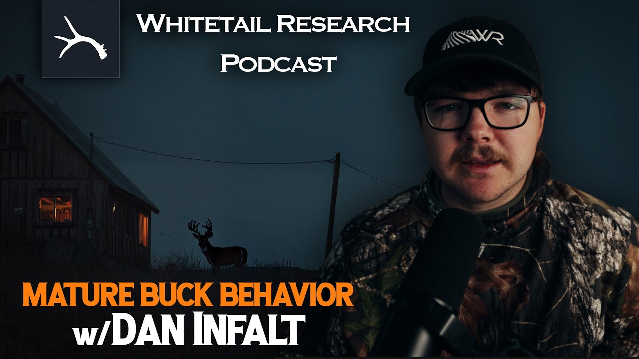 Challenging Mature Buck Behavior w/Dan Infalt | Whitetail Research ...