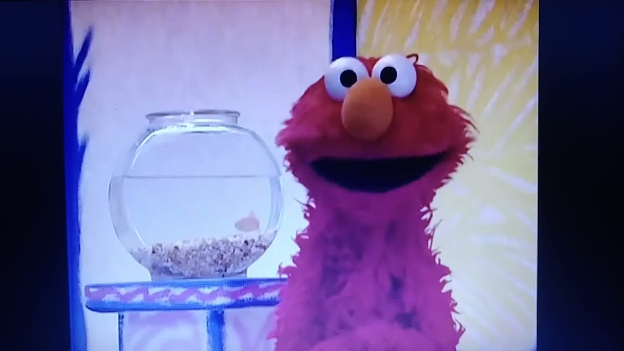 Elmo's World Bicycles Intro - YouTube