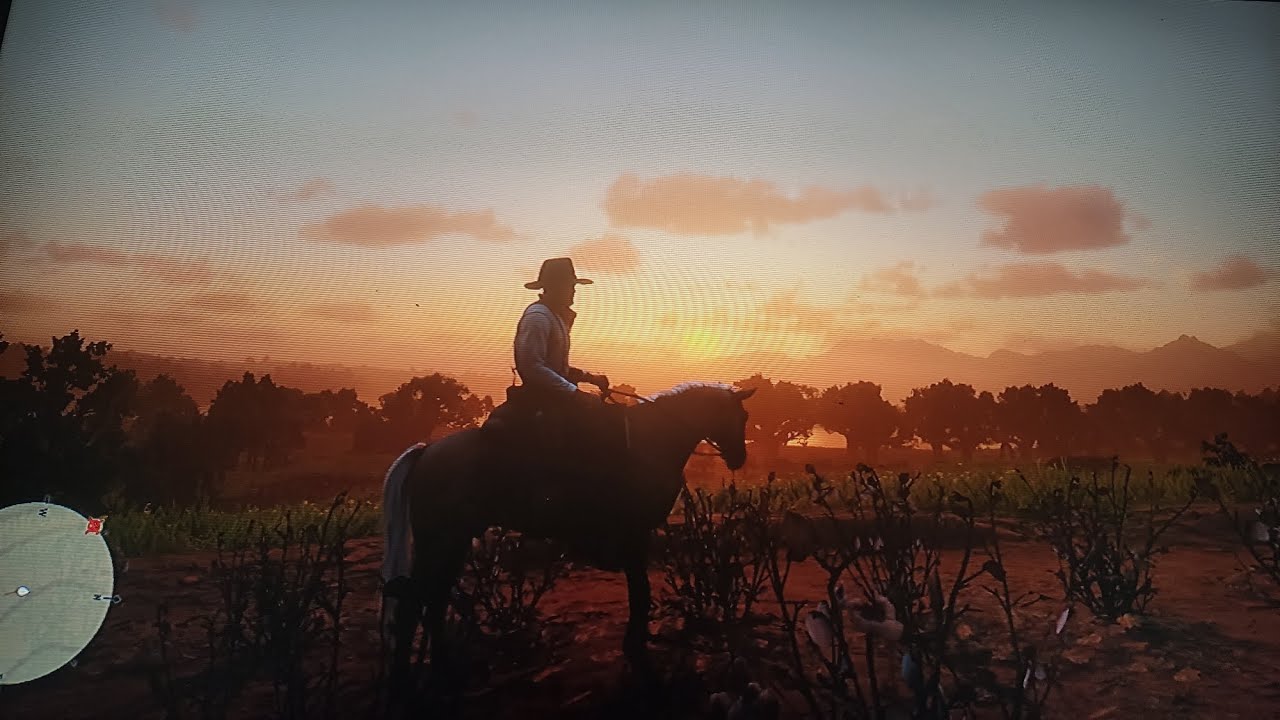 Interesting moments in the Red Dead 2 game - YouTube