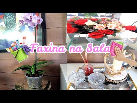 VLOG - FAXINA NA SALA