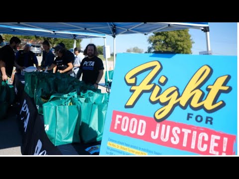 WHY IS PETA FIGHTING FOR FOOD JUSTICE? - YouTube