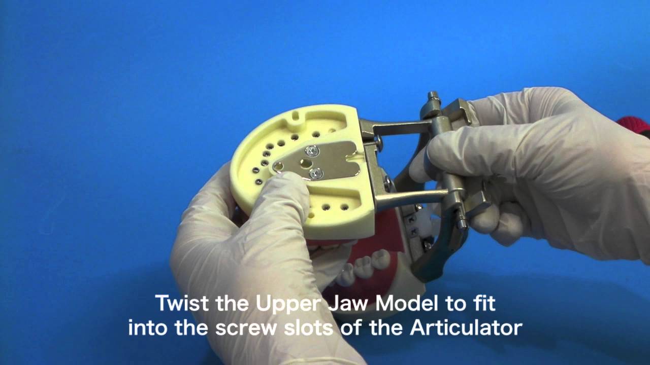 How to attach the Articulator to the Jaw Models - YouTube