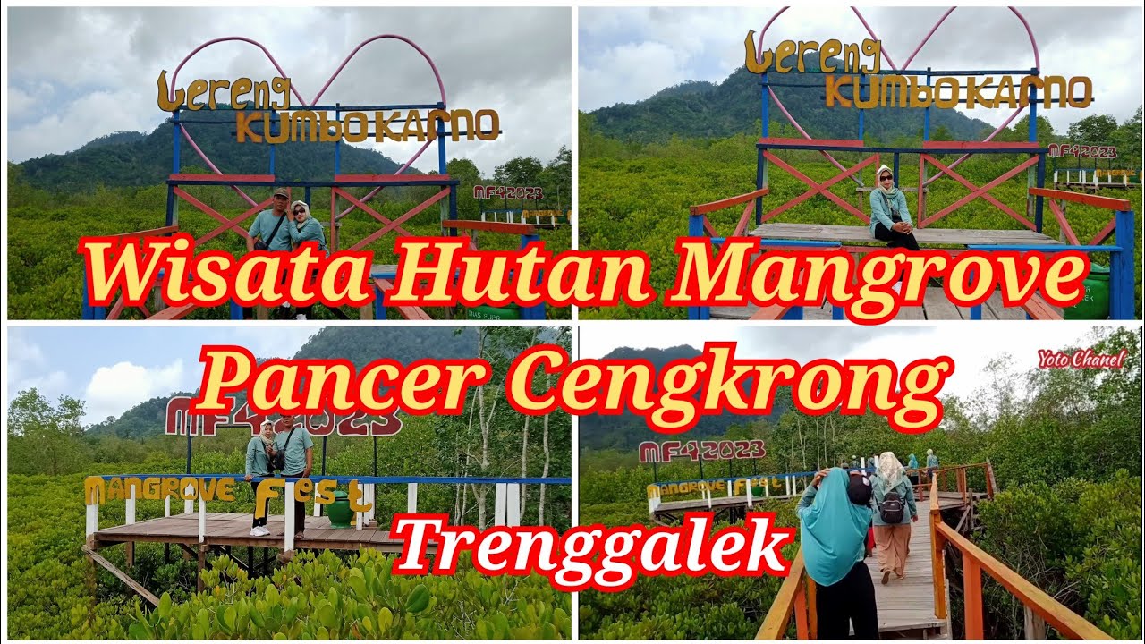 Wisata Hutan Mangrove Pancer Cengkrong Trenggalek - YouTube